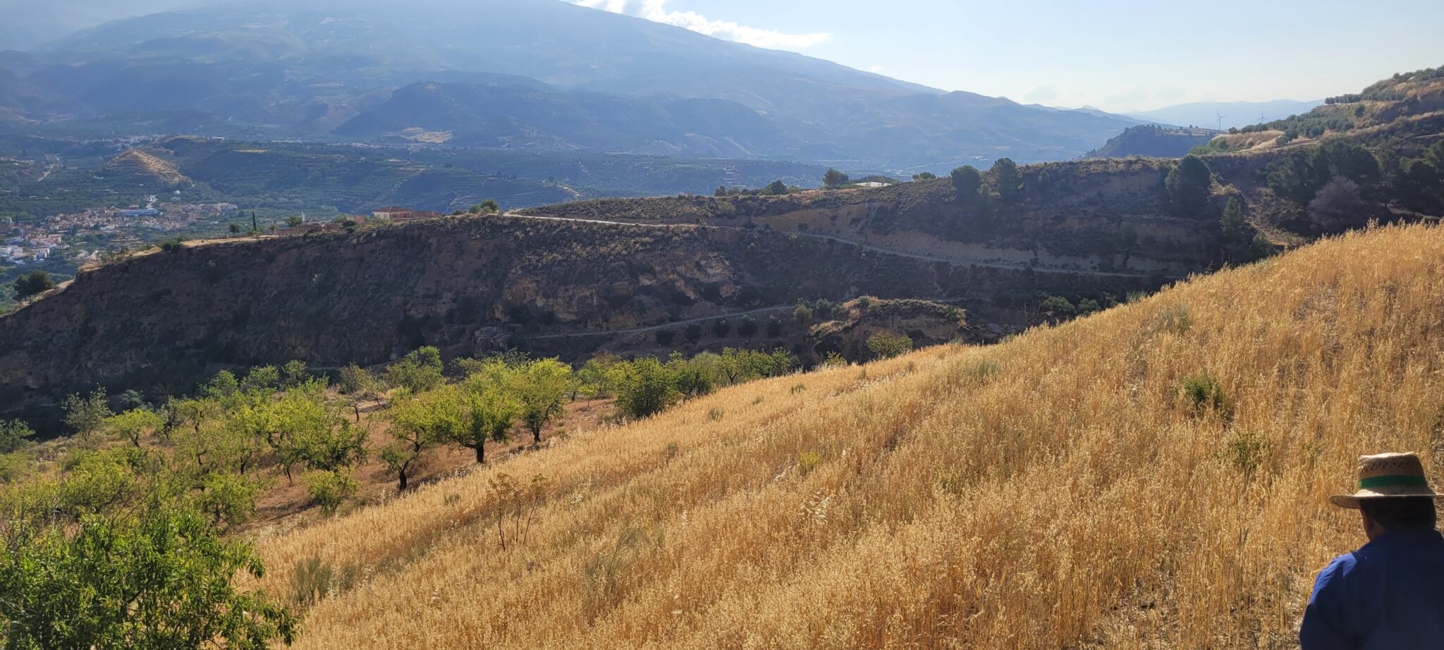 🏡 ¿Por qué es clave medir correctamente tu parcela o finca?